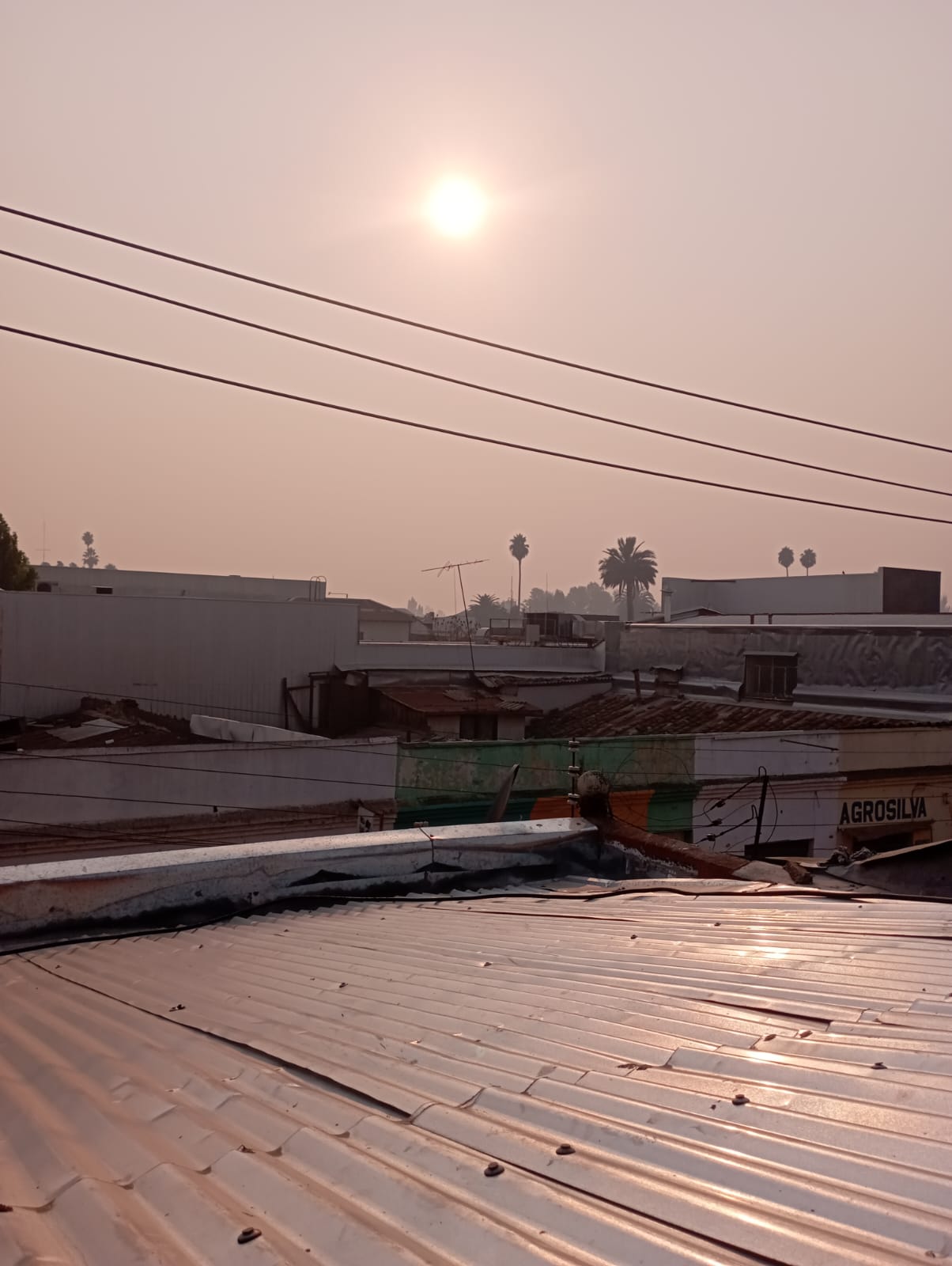 Seremi de Salud de O’Higgins emite recomendaciones ante el abundante ...