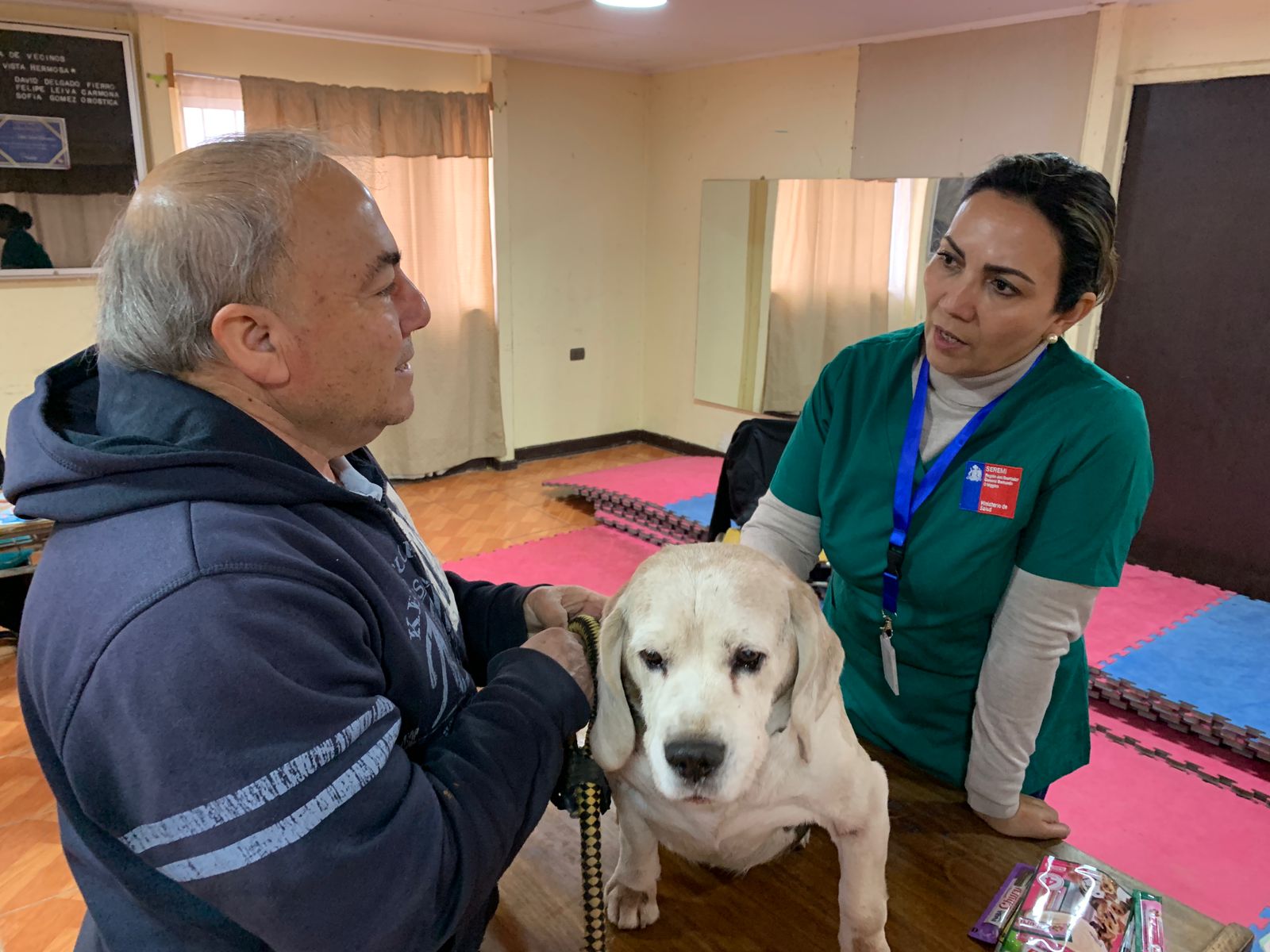 Seremi de Salud realizó perifoco de Rabia en Mostazal y Rengo. – Radio ...