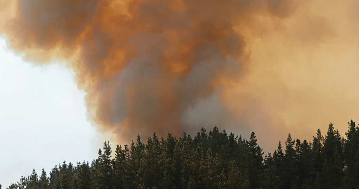 Dos detenidos y hallazgos de combustible marcan jornada de incendios en ...